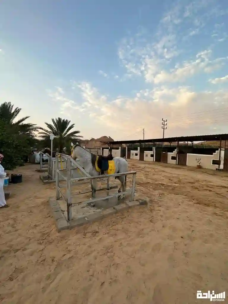 Estraha.com | معانق الجبال